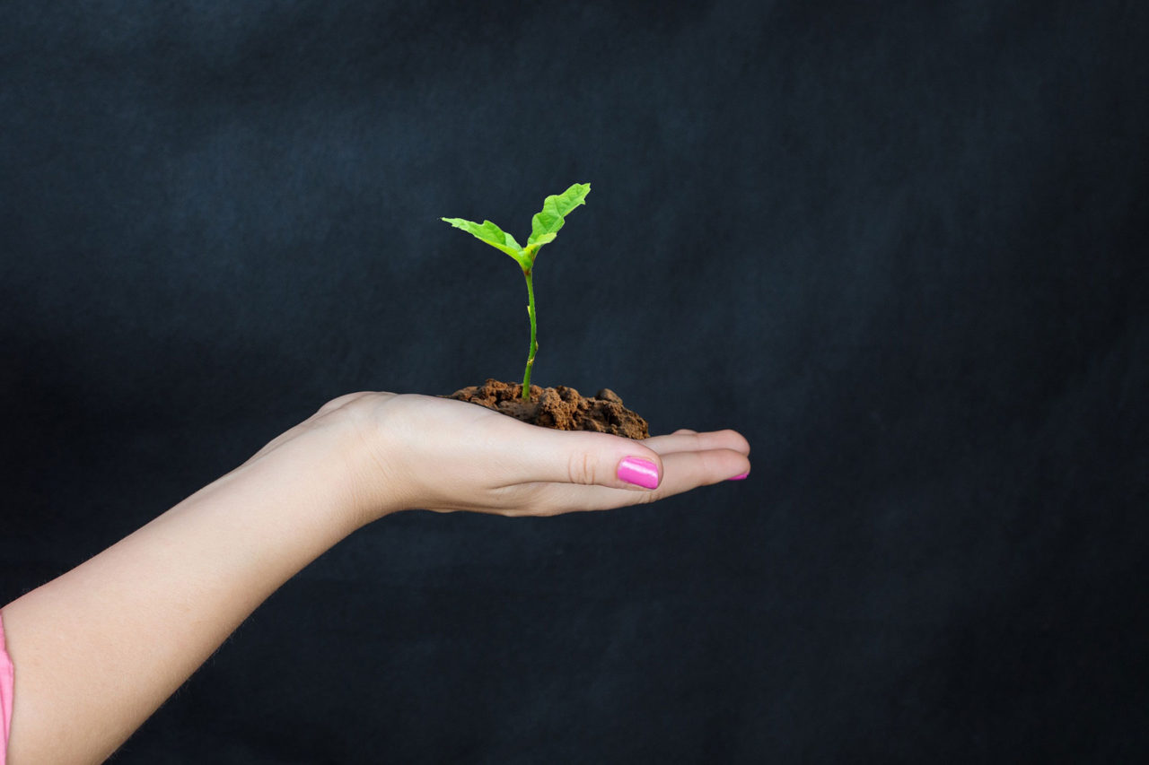 Contact Us - Beyond Impact Advisors