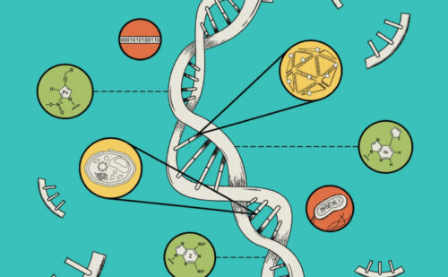 Protein Diversity: Embracing a Multifaceted Approach to Alternative ...
